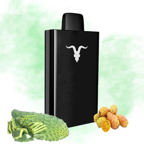 Ignite v80 - Cactus